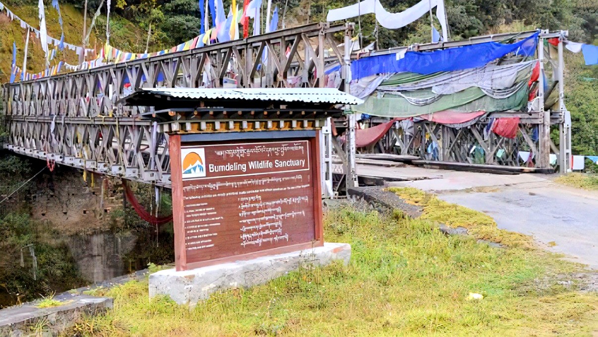 Discover Bhutan's Unique Flora and Fauna with Amen Bhutan Tours