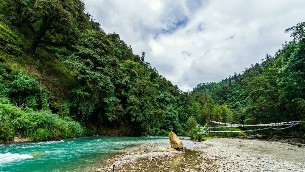 Explore Bhutan's National Parks & Wildlife Sanctuaries