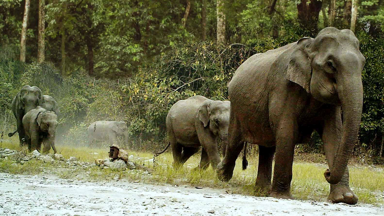 Eco Tourism in Bhutan: Sustainable Travel Guide