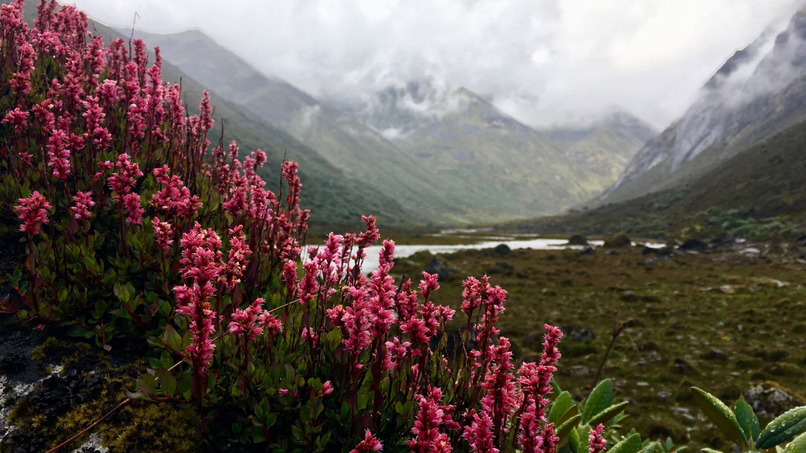 Explore Bhutan's National Parks & Wildlife Sanctuaries