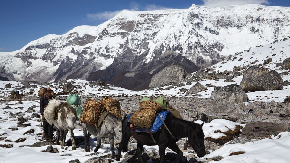 Snowman Trek Guide - Essential Tips & Info