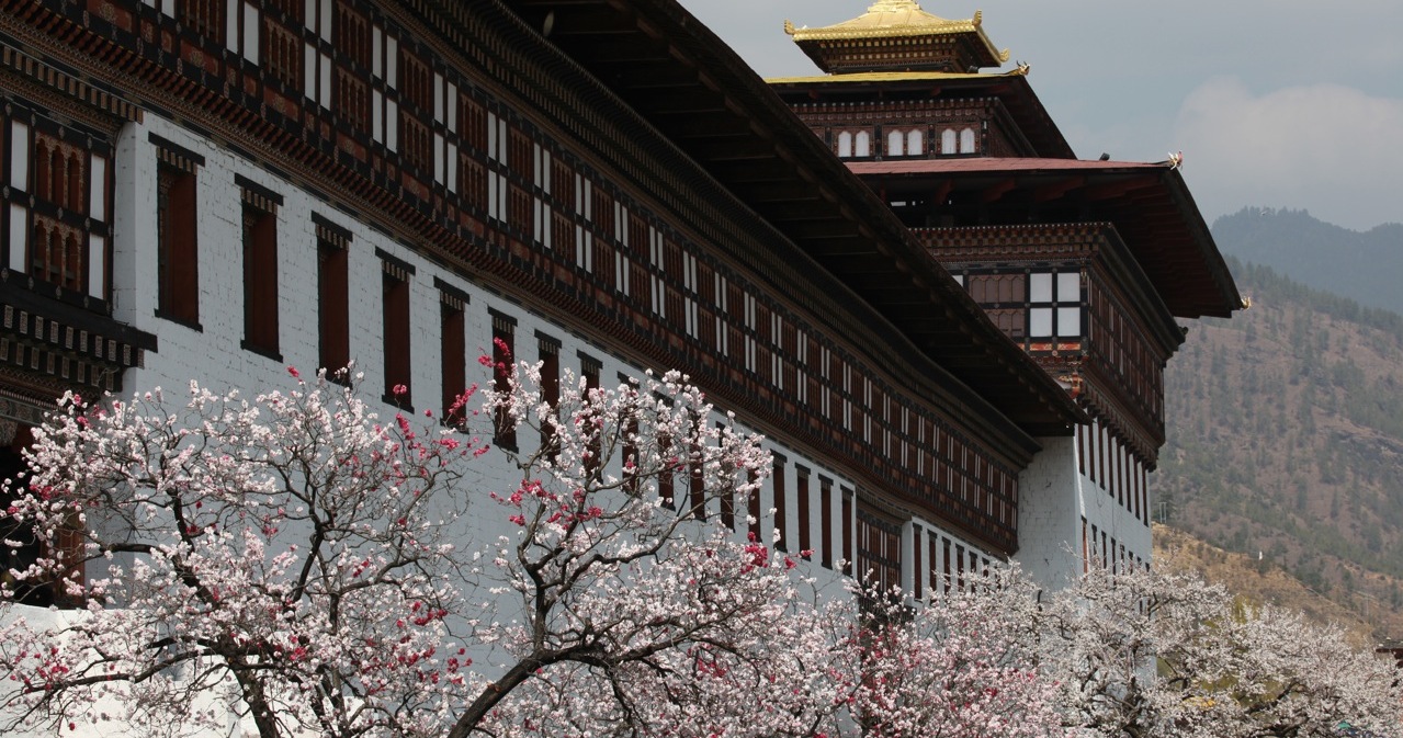 Spring in Bhutan: Explore Nature's Serenity