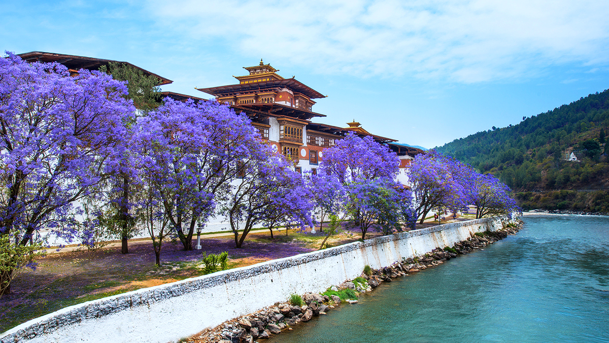 Spring in Bhutan: Explore Nature's Serenity