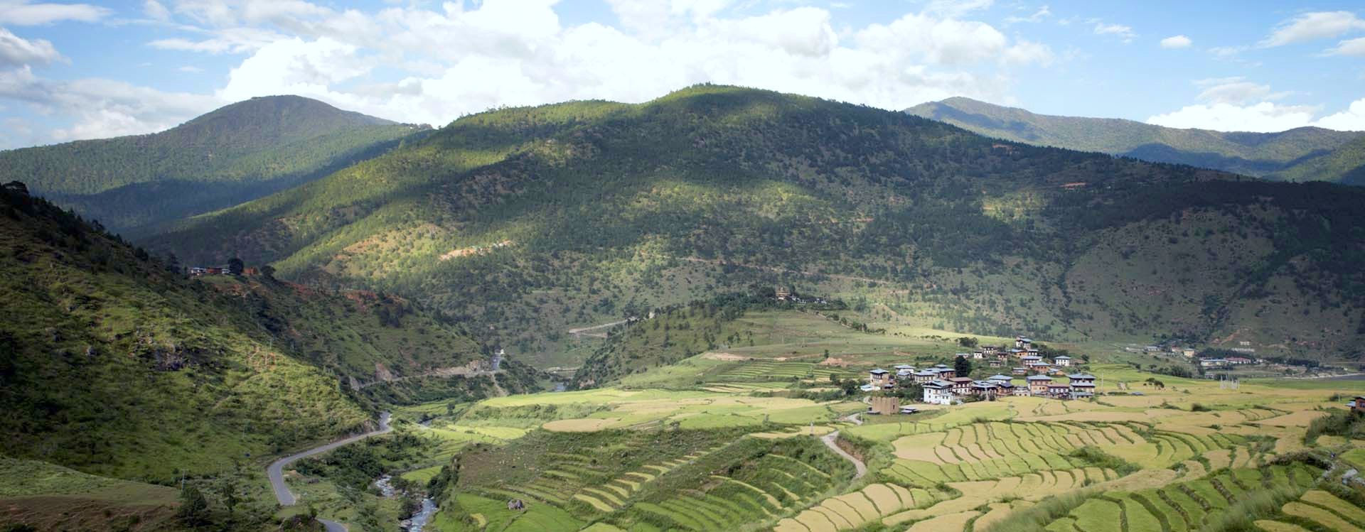 Explore Monsoon in Bhutan: A Guide by Amen Bhutan Tours and Treks